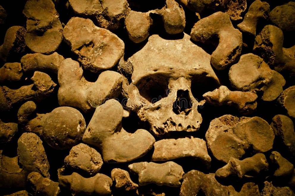 Bones stock photo. Image of cemetery, morbid, crypt, anatomy - 34530910