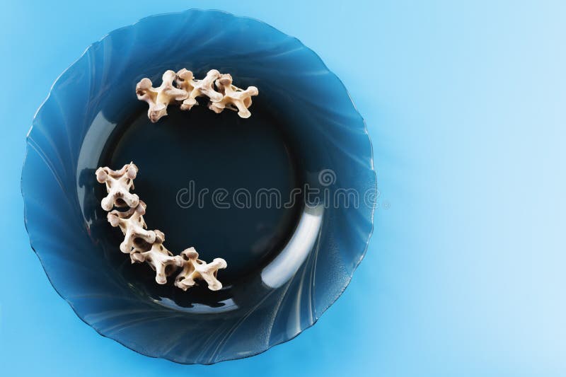 Bones from the Neck of a Duck on a Blue Background Stock Photo - Image ...