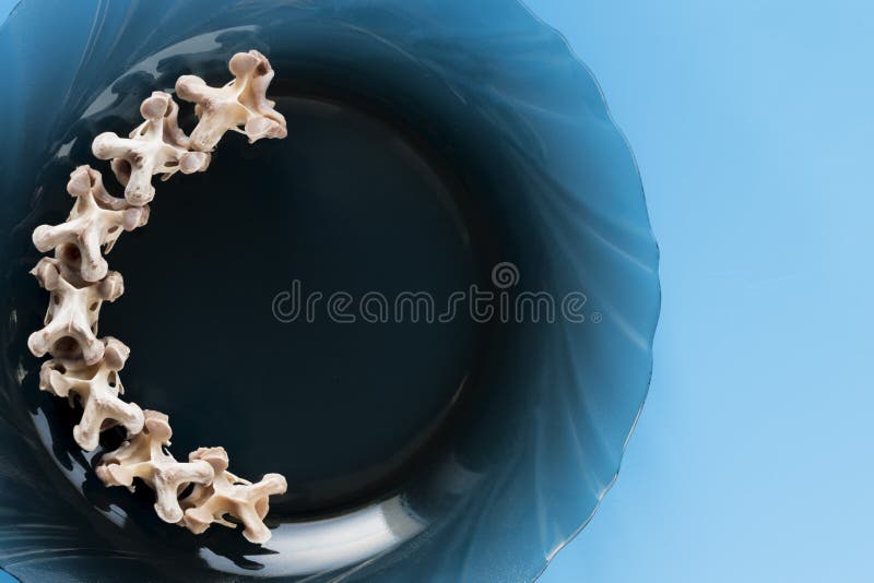 Bones from the Neck of a Duck on a Blue Background Stock Photo - Image ...