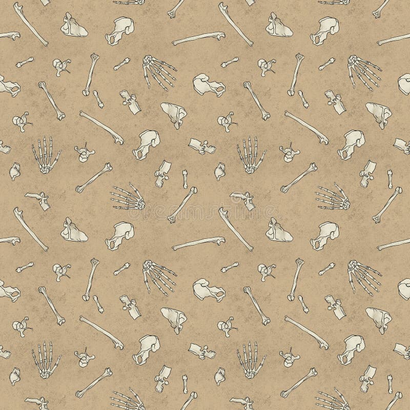 Bones pattern stock illustration. Illustration of anatomy - 102838869