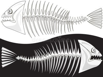 Backbone Fish Stock Illustrations – 357 Backbone Fish Stock ...