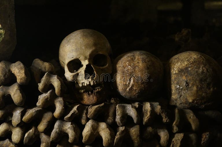 Bones, Skeletons and Skulls Editorial Stock Photo - Image of dark ...