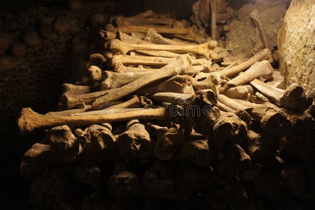 Bones Stacked Against the Wall in the Catacombs Under Paris Stock Photo ...