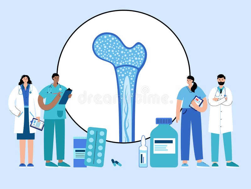 Osteoclast Bone Marrow Stock Illustrations – 54 Osteoclast Bone Marrow ...