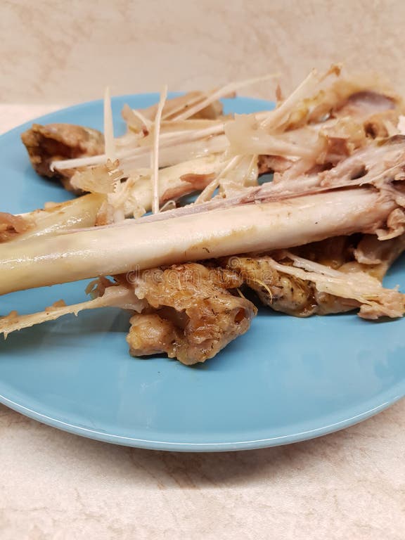 Bones of turkey stock photo. Image of bones, gnawed - 136446908