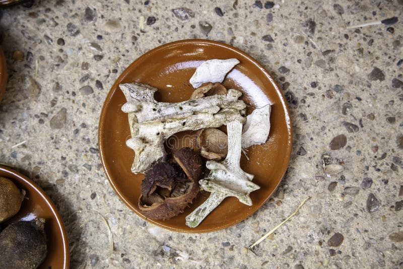 Bones for Witchcraft and Magic Stock Image - Image of teller, black ...