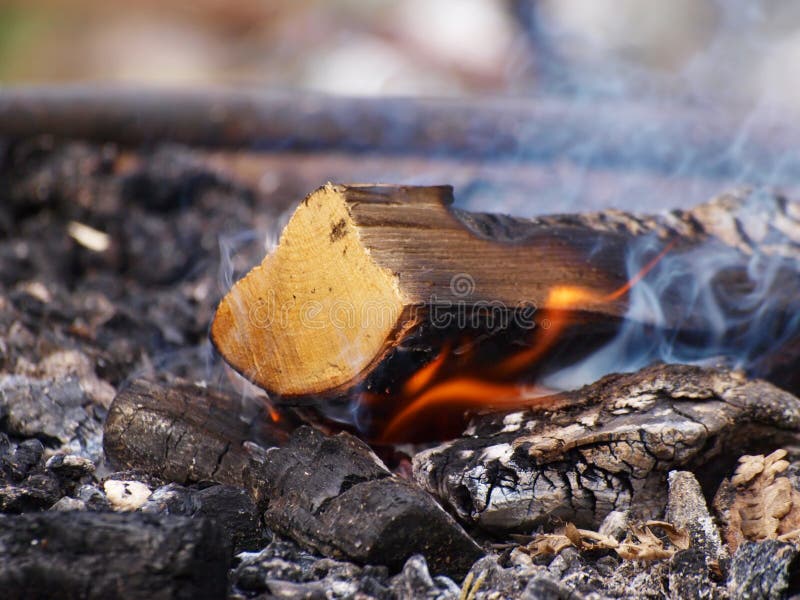 Generate Fire with Friction Stock Photo - Image of wood, feeling: 100220584