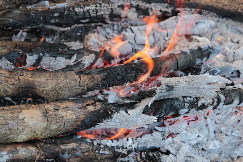 Bonfire stock photo. Image of energy, charcoal, wood - 81432852