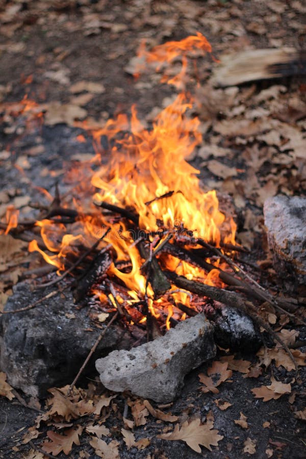 Bonfire in the Autumn Forest Stock Image - Image of environment ...