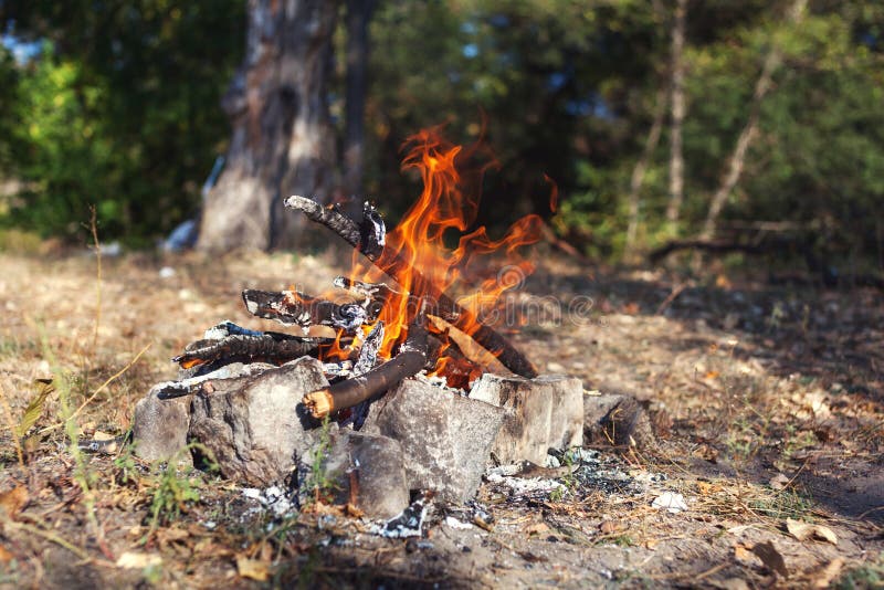 Bonfire in the Autumn Forest. Coals of Fire Stock Image - Image of ...