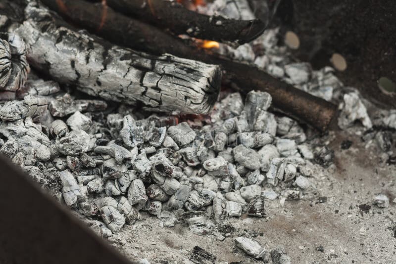 Bonfire in the Barbecue Close-up, a Fire for Cooking in Nature Stock ...