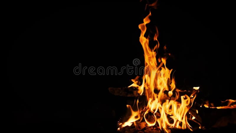 Bonfire Burning on Black Background Stock Video - Video of fuel ...
