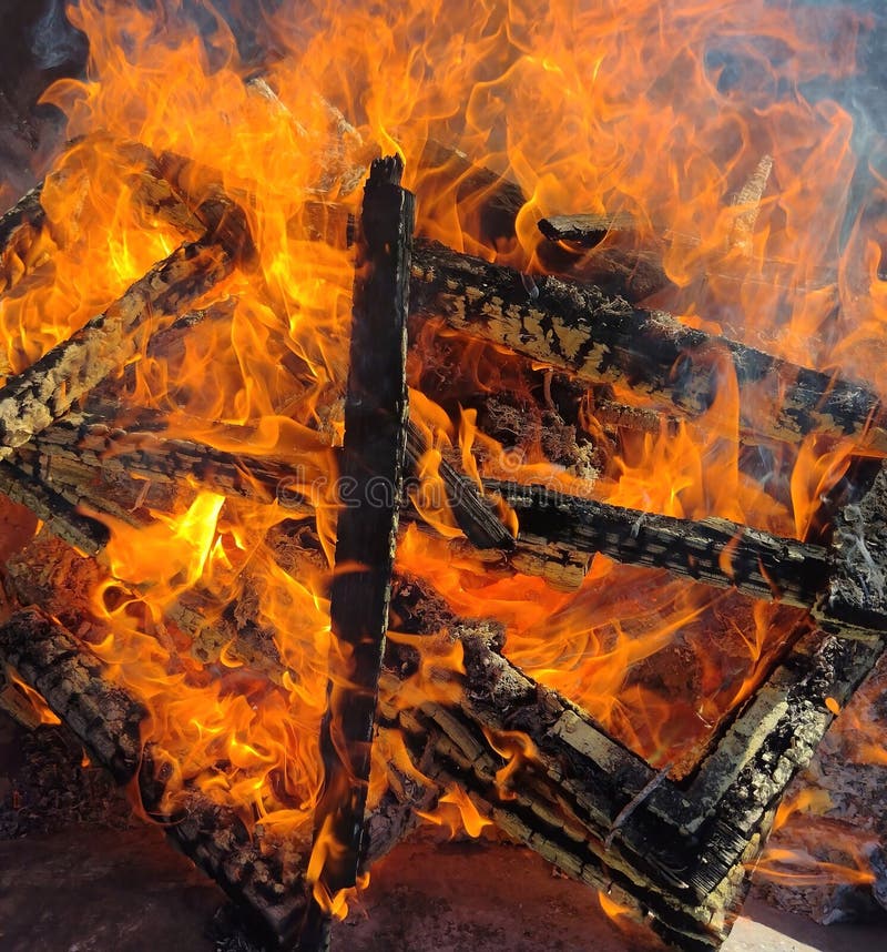 Bonfire. a Bonfire is Burning in the Forest Stock Photo - Image of ...
