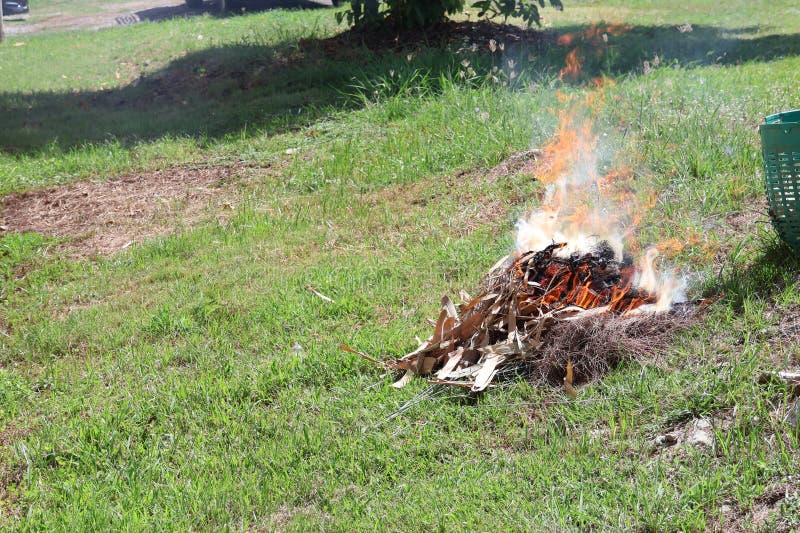 A Bonfire Burning Dry Grass and Leaf Fragments, a Fire-prone and ...
