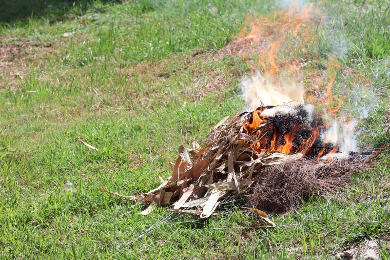A Bonfire Burning Dry Grass and Leaf Fragments, a Fire-prone and ...