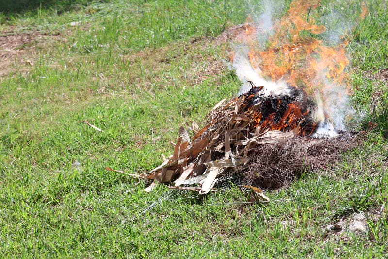 A Bonfire Burning Dry Grass and Leaf Fragments, a Fire-prone and ...