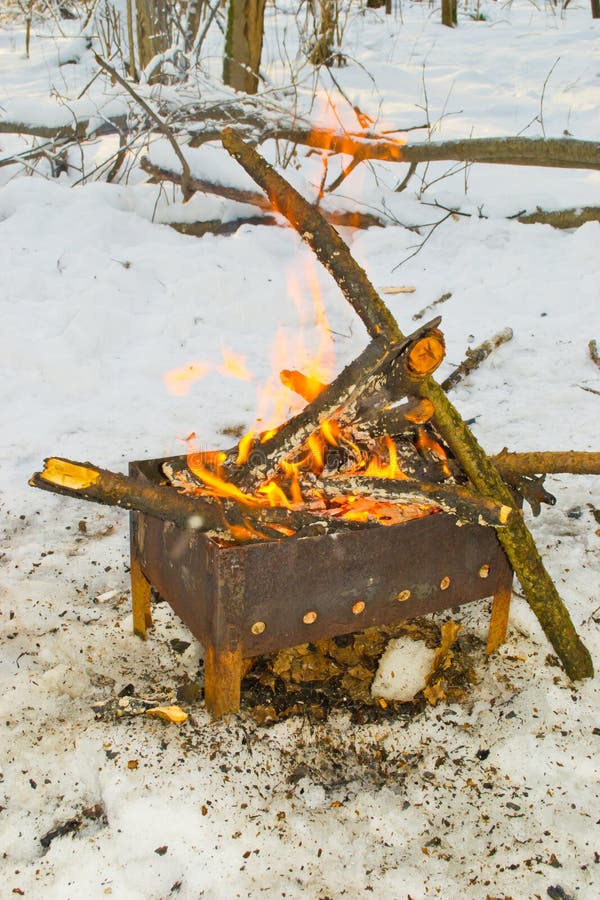 Bonfire. a Bonfire is Burning in the Forest Stock Photo - Image of ...