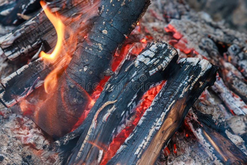 Bonfire of Burning Logs with Flames of Red and Orange Color. Stock ...