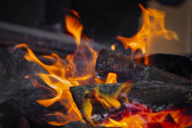 Bonfire, Burning Tree, Flame, Hearth. the Concept of Wood-burning ...