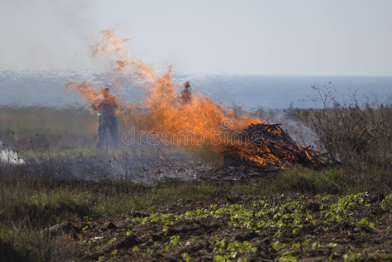 Controlled Bonfires Stock Photos - Free & Royalty-Free Stock Photos ...