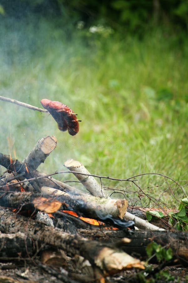 Bonfire Campfire Fire Flames Grilling Steak BBQ Stock Photo - Image of ...