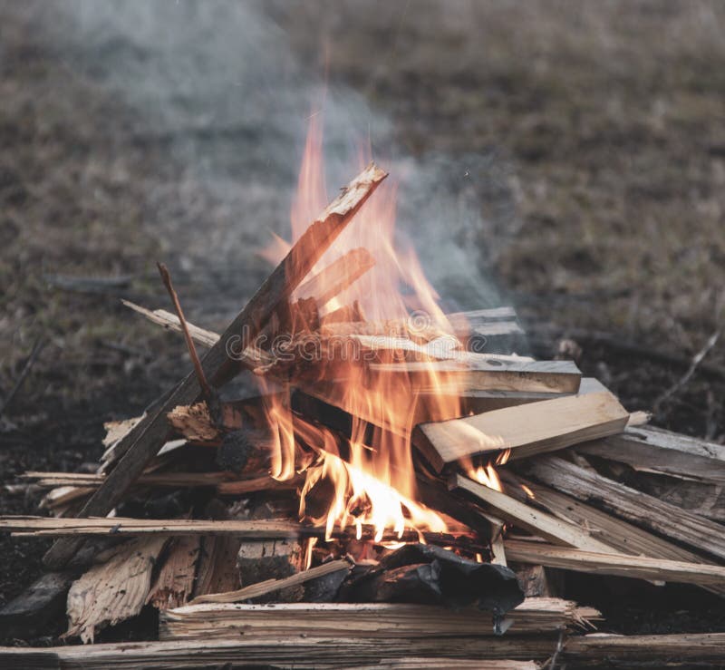 Bonfire Campfire Fire Spring Forest Stock Image - Image of burning ...
