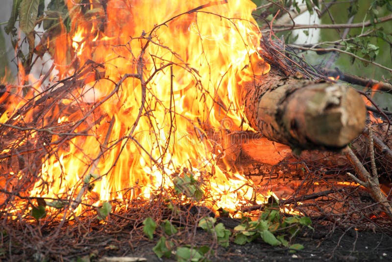 Bonfire Campfire Fire Summer Forest Stock Image - Image of light ...