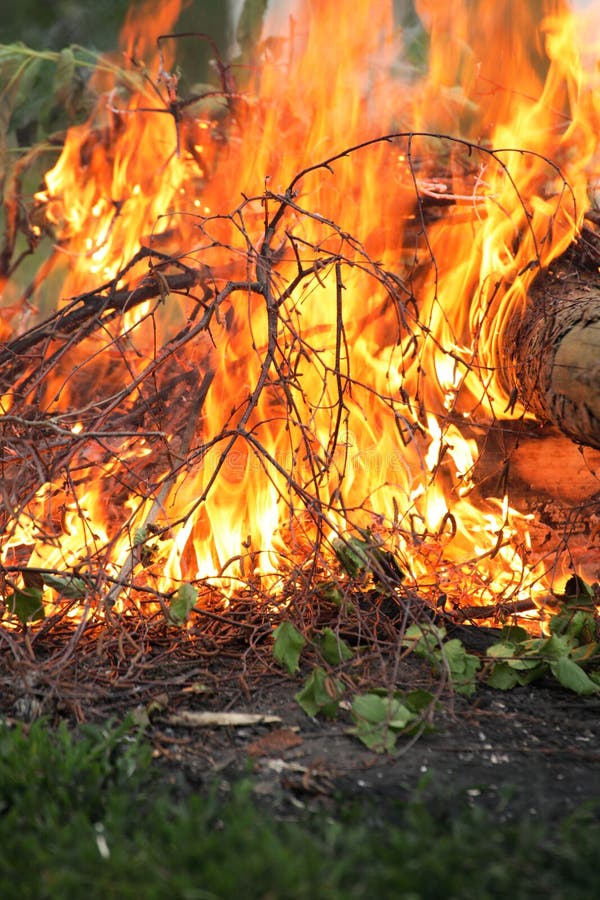 Bonfire Campfire Fire Summer Forest Stock Photo - Image of brick ...