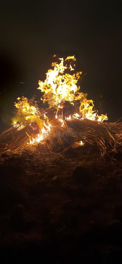 Campfire stock photo. Image of heat, campfire, outdoor - 255648686