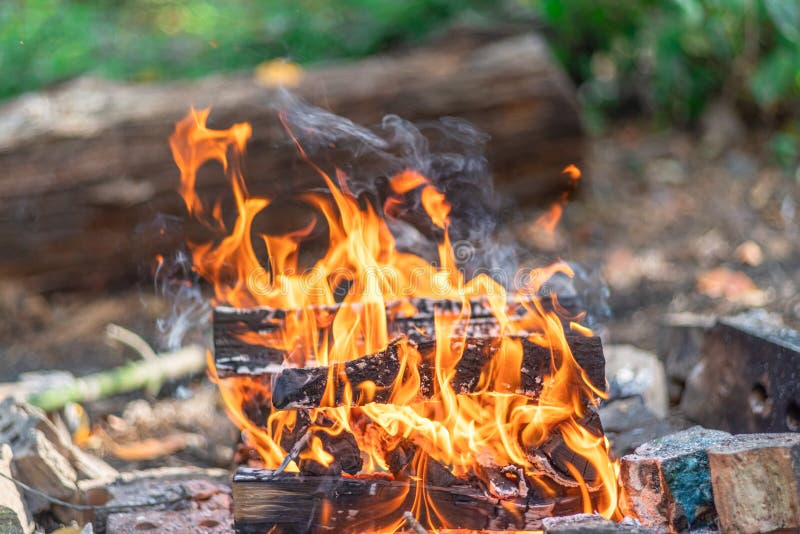 Bonfire or Campfire. Orange Flame of a Fire at Nature Background Stock ...