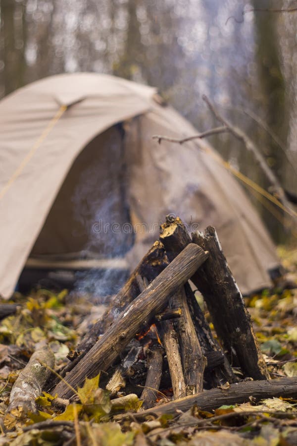 Bonfire and Camping Tent in the Forest Stock Photo - Image of outdoor ...