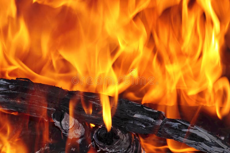 Extinguished Smoking Bonfire. Stock Image - Image of firewood, outdoors ...