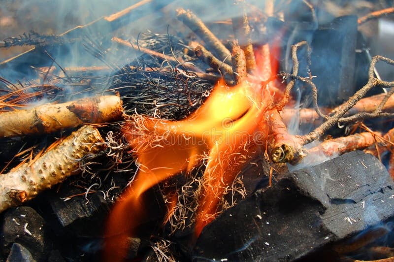 Bonfire stock image. Image of bonfire, detail, barbecue - 175307017
