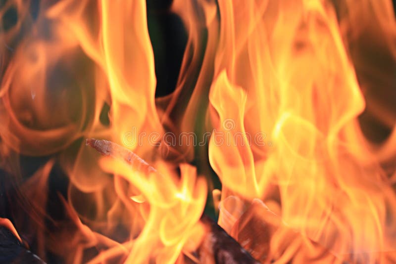 Bonfire close up stock photo. Image of nature, flames - 55417142
