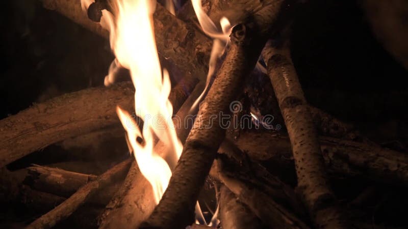Bonfire Close-up. Flame of Fire Stock Footage - Video of evening ...
