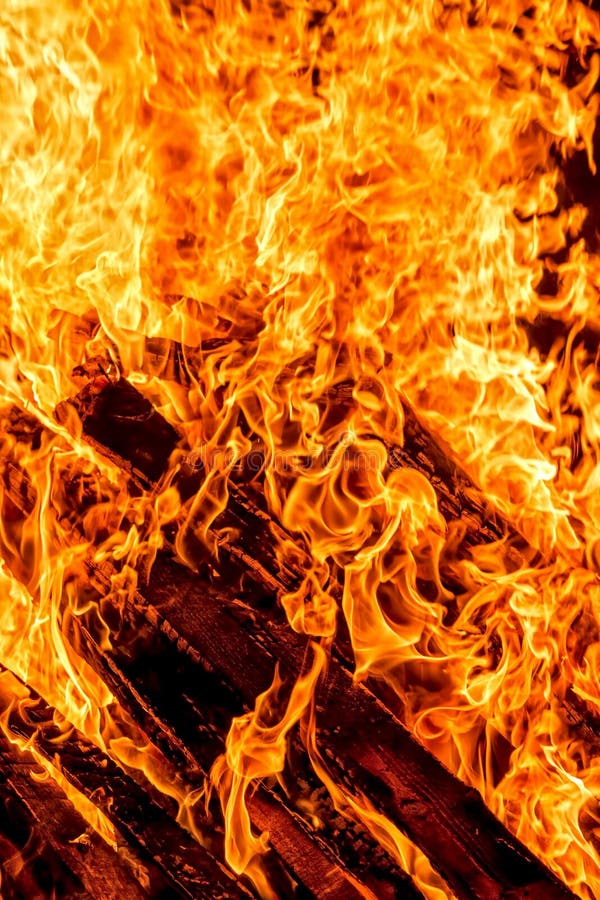 Bonfire stock image. Image of element, campfire, warm - 40712283