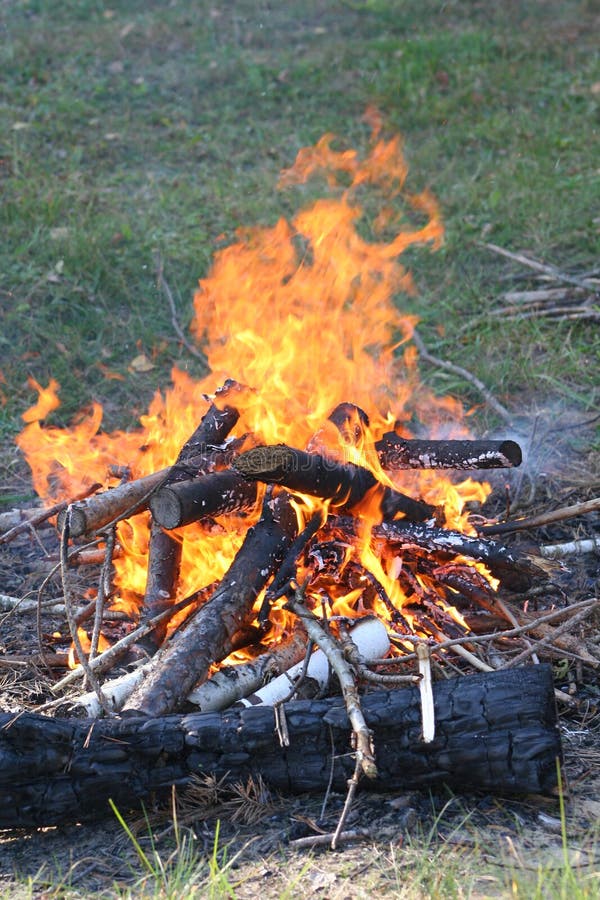 Bonfire Campfire, Pyre in the Day Time. Round Logs Burning. Stock Image ...