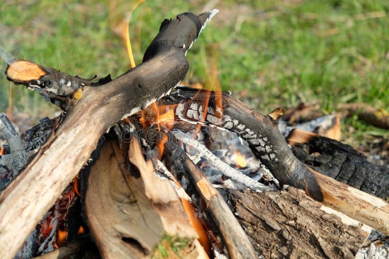 Bonfire for Cooking in the Forest. the Fire is Burning. Texture of ...