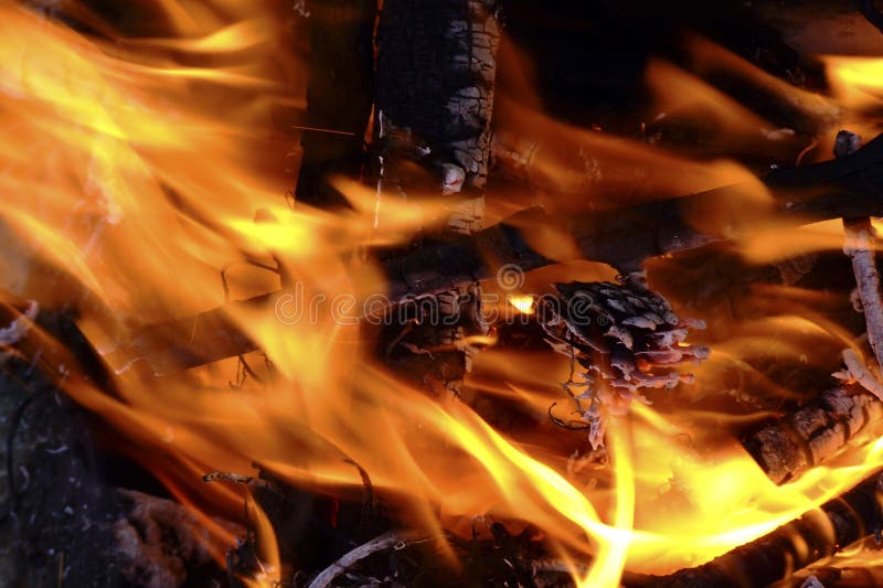 Bonfire Detail stock photo. Image of adventure, fire, scout - 1895644