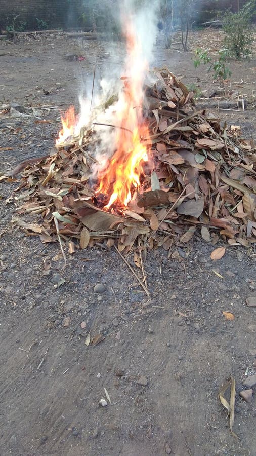 Bonfire, Dry Leaf Litter Bonfire Stock Photo - Image of leaf, litter ...