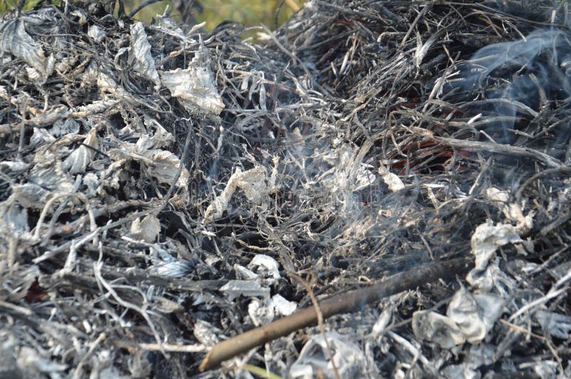 A Bonfire with Dry Plants is Burning on a Land Plot with Fire and Smoke ...