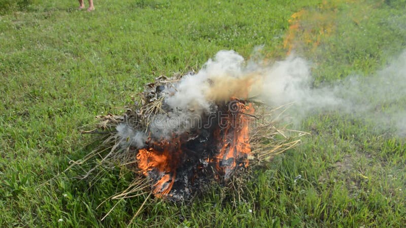 A Bonfire with Dry Plants is Burning on a Land Plot with Fire and Smoke ...