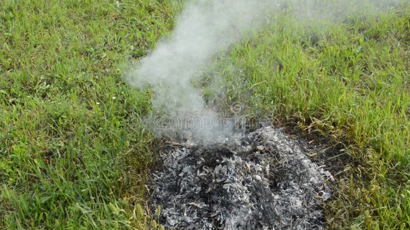 A Bonfire with Dry Plants is Burning on a Land Plot with Fire and Smoke ...