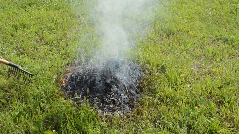 A Bonfire with Dry Plants is Burning on a Land Plot with Fire and Smoke ...