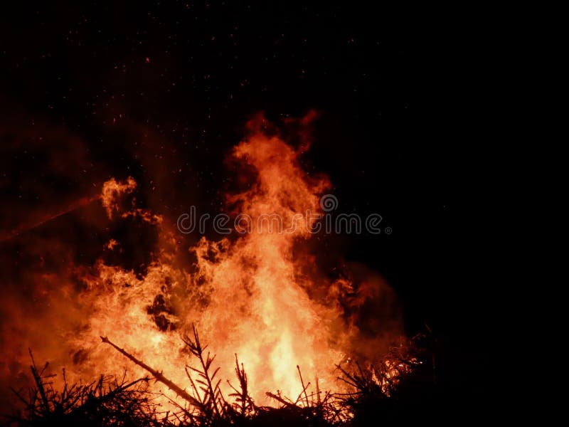 Bonfire with fir trees stock image. Image of smoke, hellfire - 178250165