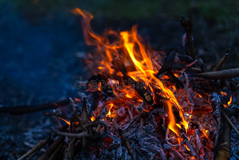 Bonfire with fire and ash stock photo. Image of fire - 177648544
