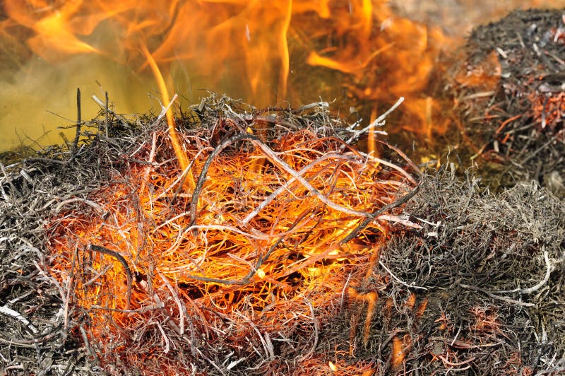 Bonfire. stock image. Image of fever, burning, burn, bonfire - 54271273