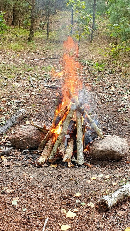 Bonfire Fire Flame among the Stones in the Forest Stock Image - Image ...