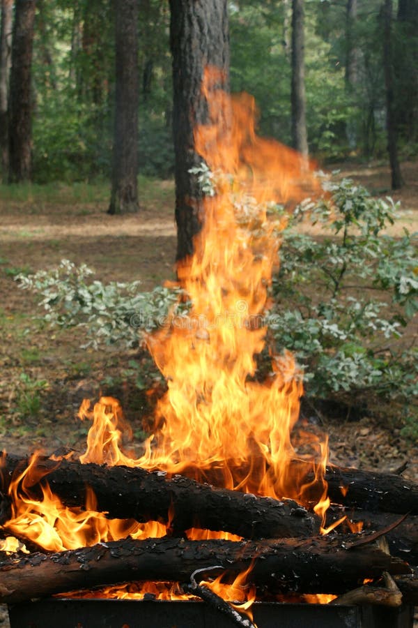 Bonfire fire flames stock image. Image of glow, raging - 74624429
