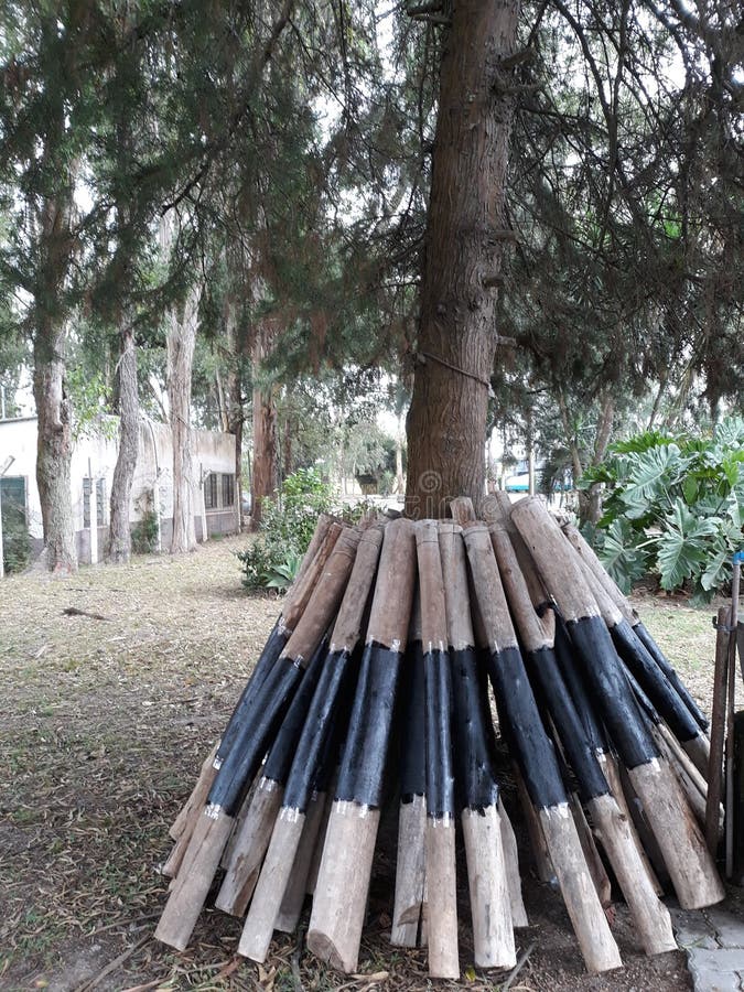 A Bonfire without Fire and with a Lot of Nature Stock Photo - Image of ...